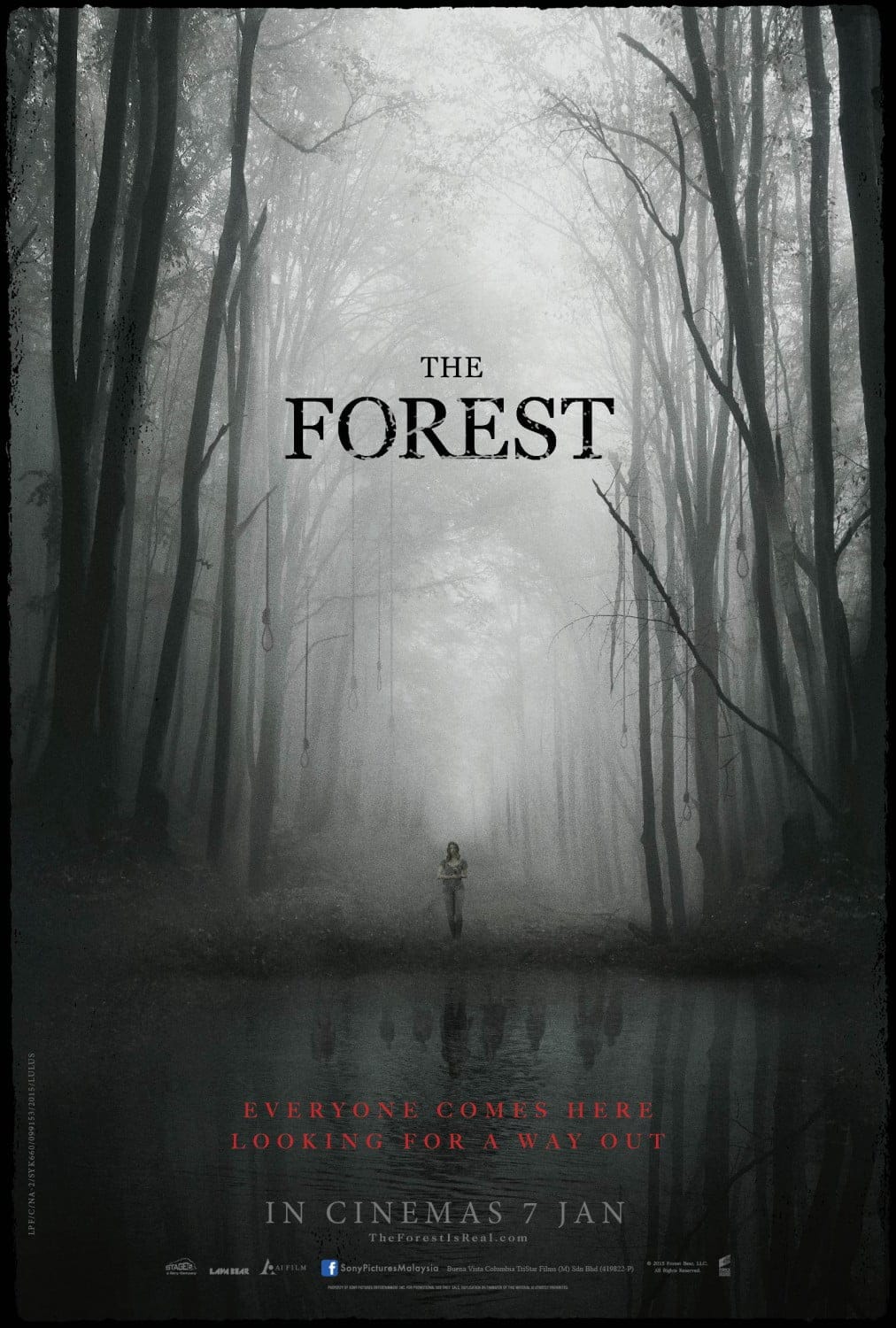 The Forest Movie Review Moviefloss